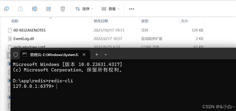 Redis安装redis Msi下载 Csdn博客