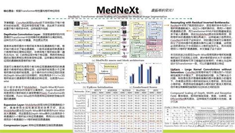Mednext Transformer Driven Scaling Of Convnets For Medical Image Segmentation Ppt Sum 知乎