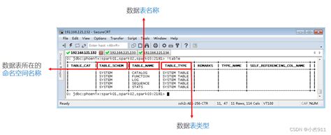 【大数据学习篇12】 Spark项目实战 数据可视化基于spark的今日头条数据分析及其可视化 Csdn博客