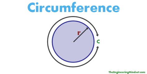 Circumference Word Problem 7th Grade Quiz Wayground
