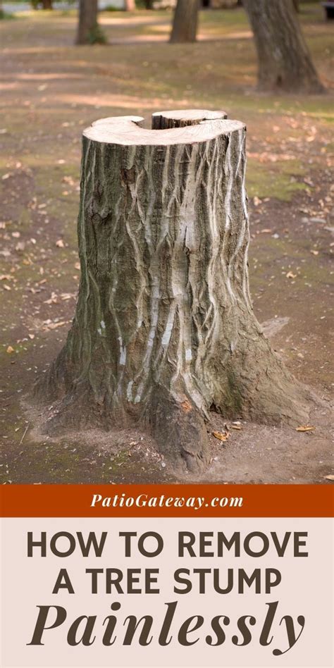How To Remove A Tree Stump By Hand Patio Gateway