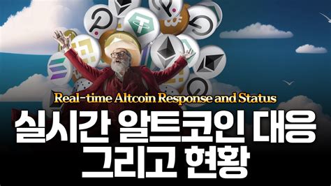 실시간 대응 알트코인 적중한 금일 현황 Youtube