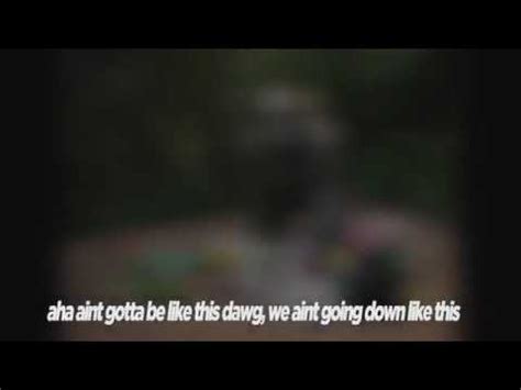 Harambe Tribute Lyrics Youtube