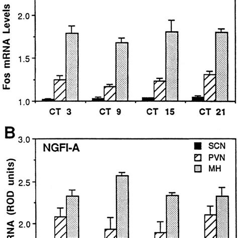 Expression Of C Fos And Ngfi A In The Scn Pvn And Medial Ž Habenula