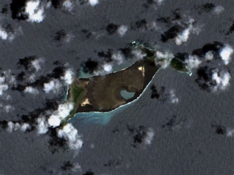 What Might The Next Mass Extinction Look Like Modern Sciences