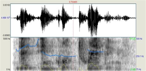 spectrogram of this includes three things download scientific diagram
