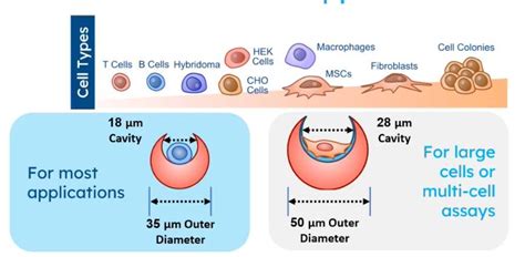 The Single Cell World On Linkedin Partillion Bioscience A New Single Cell Technology