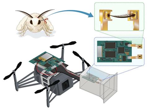 Researchers Develop Novel Odor Image Eurekalert Science News Releases