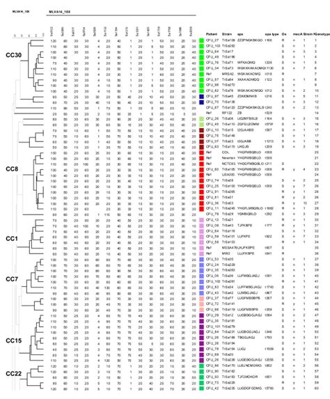 Clustering Analysis Of Mlva Data For 55 Selected Isolates And 8
