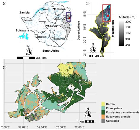 Landsat 8 And Sentinel 2 Based Prediction Of Forest Plantation C Stock Using Spatially Varying