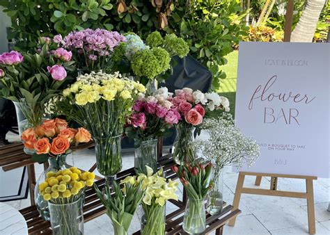 Fat Llama Rent Almost Anything