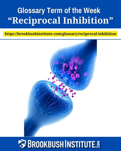 🧐 Glossary Term Of The Week Brookbush Institute
