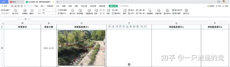 wps中表格用嵌入方式插入图片在excel中打开不显示 知乎 wps中表格用嵌入方式插入图片在excel中打开不显示 知乎