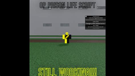BEST Prison Life New Scripts YouTube