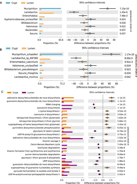 Spatial Compartmentalization Of The Microbiome Between The Lumen And Crypts Is Lost In The