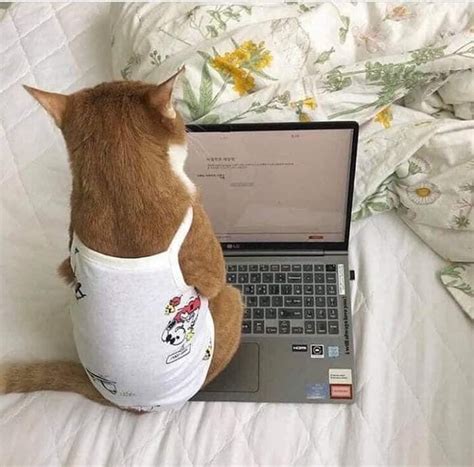 Javascript 자바스크립트 파일 업로드 Form Post