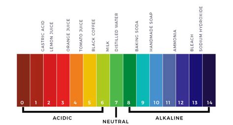 Độ chỉ số pH là gì Ảnh hưởng của pH tới sức khỏe con người