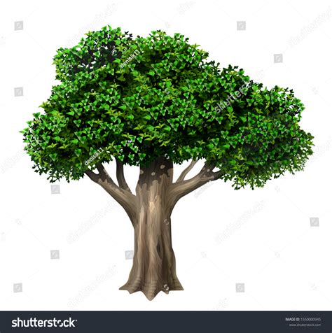 90 857 Tree Trunk Branches Vector Images Stock Photos Vectors Shutterstock