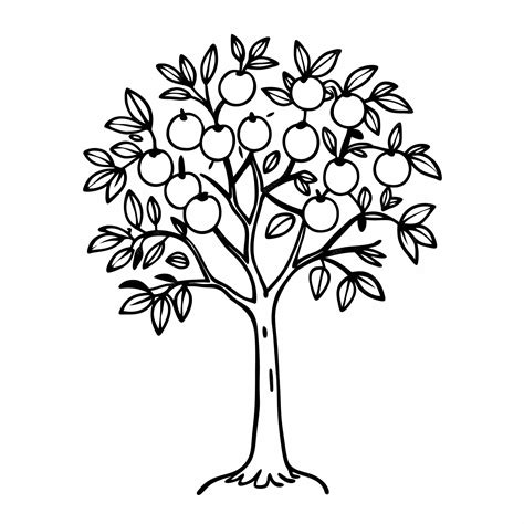 Black And White Apple Tree Line Art Illustration For Nature And
