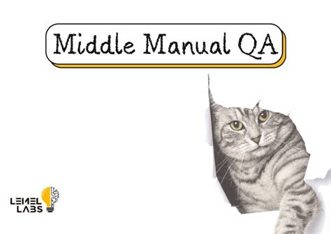 Darya Mazuruk On Linkedin Qa Engineer Testing Ios Android Manualtester