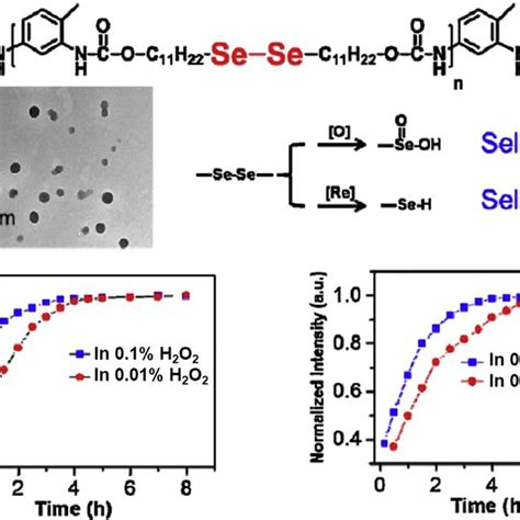 PDF Selenium Containing Nanomaterials For Cancer Treatment