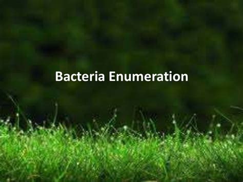 Bacteria Enumeration