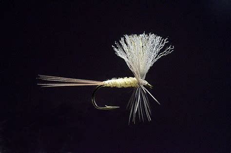 The Poly Dun Pmd Fly Fly Pattern Recipes J Stockard