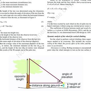 Determination Of The Height Of The Tree Download Scientific Diagram