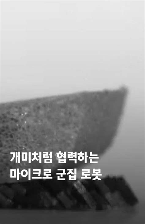 헤이뉴스 Hey News Jtbc 오늘 6일 오전 경기 포천시 이동면 민가에 포탄이 떨어졌다 민가 7가구가 부서지고 현재까지 7명 중상 4·경상 3명 이 다쳤다