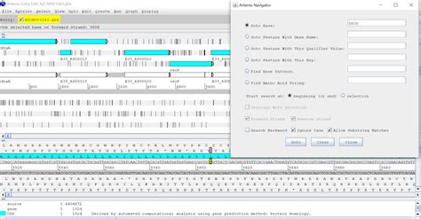 Artemis Displays Incorrect Bases In DNA View Issue Sanger Pathogens Artemis GitHub