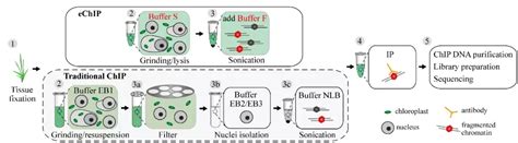 Nature Commun 华中农业大学李兴旺 李国亮合作发布20个水稻品种的参考表观基因组图谱 知乎