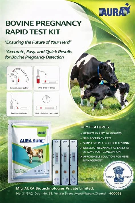Bovine Pregnancy Rapid Testing Kit Ivd Approved At ₹ 250 Piece Pregnancy Test Kit In Chennai
