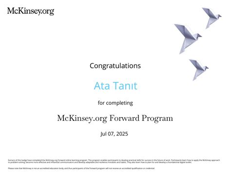 I Completed The Mckinsey Forward Program A 10 Week Online Learning Experience Focused On