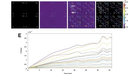 Real Time Monitoring Of Oligonucleotide Oligonucleotide Hybridization Download Scientific