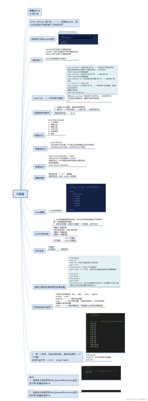 C高级 Day2 Csdn博客