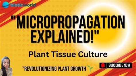 Micropropagation Made Simple Unlock The Secrets Of Plant Tissue