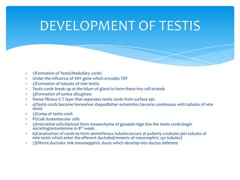 Genital System D Evelopment Ppt
