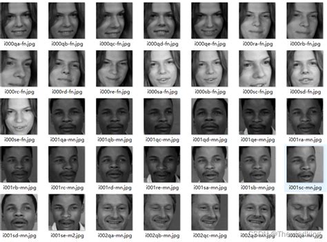 模式识别作业 人脸识别（pythonpcapytorch神经网络）模式识别课程设计人脸识别 Csdn博客