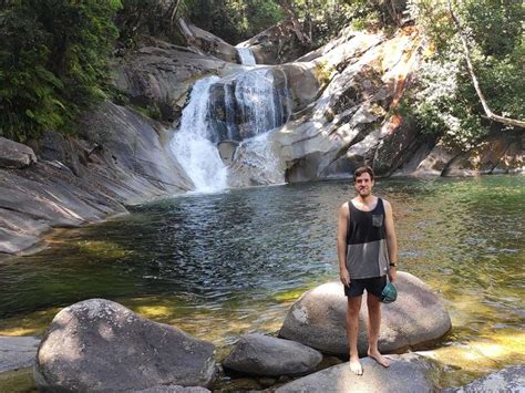 Running A Risc V Softcore In A Fpga Welcome To My Blog