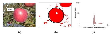 vision analysis for apple fruit detection bulanon et al 2001 a ccd