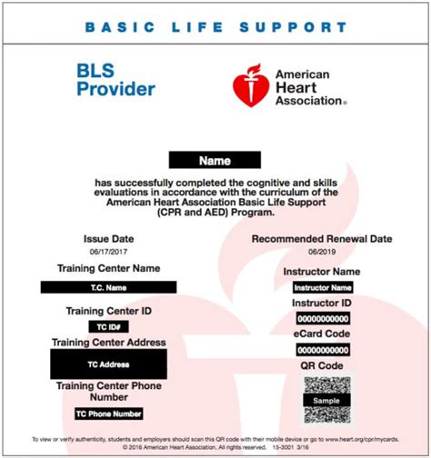 Basic Life Support Bls Roxell Emergency Management Training