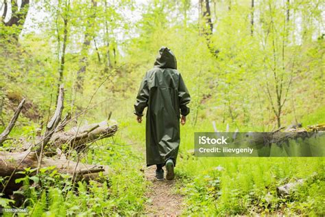 젖은 숲의 배경에 비옷을 입고 걷는 남자 건강한 라이프 스타일 녹색 여름 자연입니다 비옷을 입고 걷는 남자 숲에서 비입니다