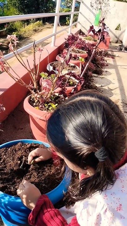 Shortvideo Zsofia Youtubeshorts Youtube