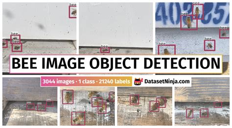 Bee Image Object Detection Dataset Ninja