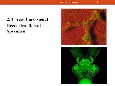 Confocal Microscopy Ppt