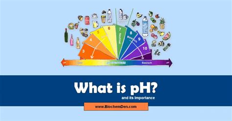 What Are The Basics Of PH Do You Know The Importance