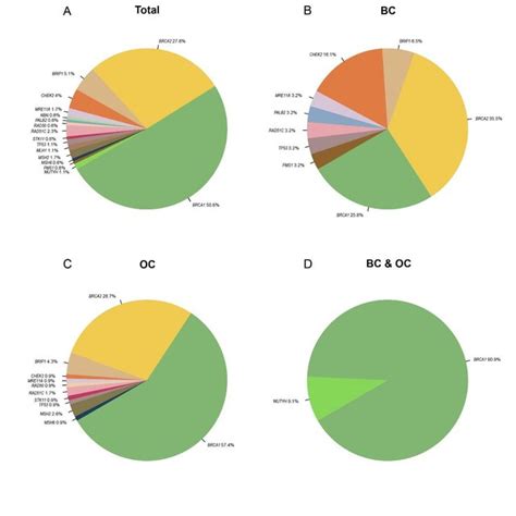 Deleterious Mutation Distribution In 21 Hboc Susceptibility Genes A Download Scientific