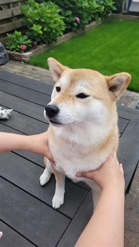 An Error Occurred While Loading