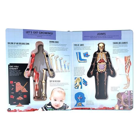 3d Picture Human Body Structure Book Anatomy Scien Vicedeal