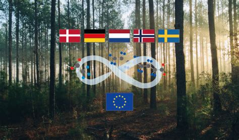 European Chemical Agency Seeks Input On Proposed Fluorochemicals Restriction Rubber News